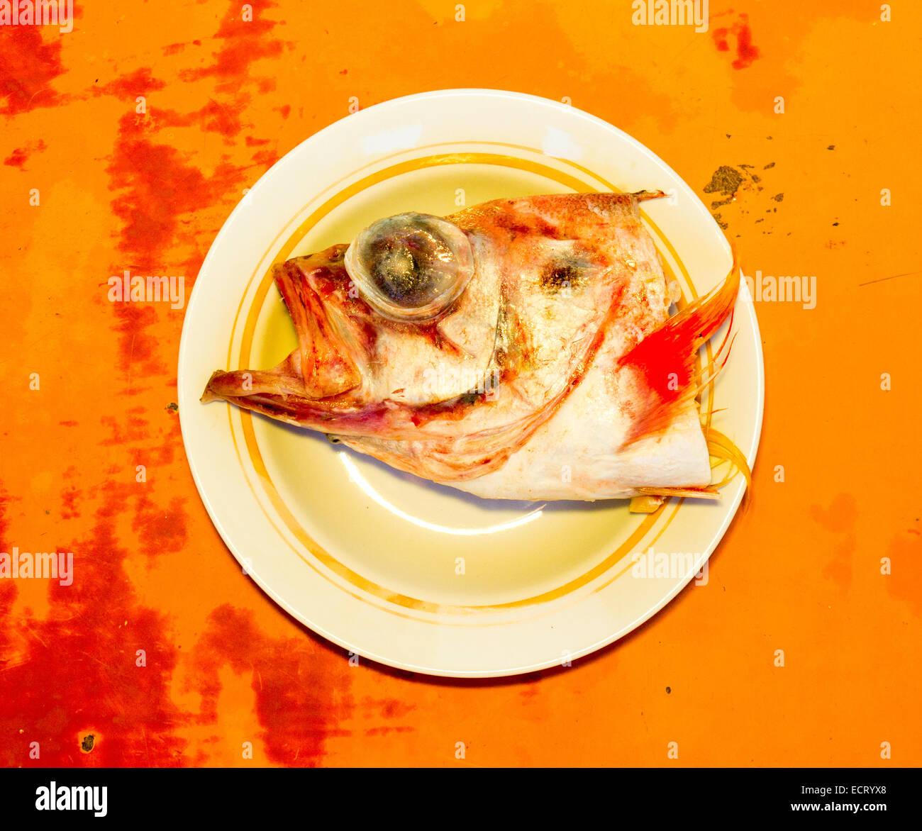 Red pink fish head hi-res stock photography and images - Alamy