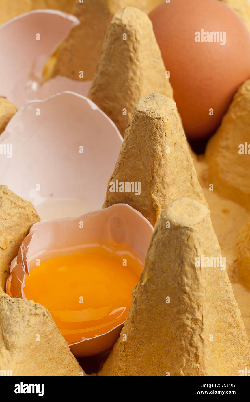 Shell mold hi-res stock photography and images - Alamy