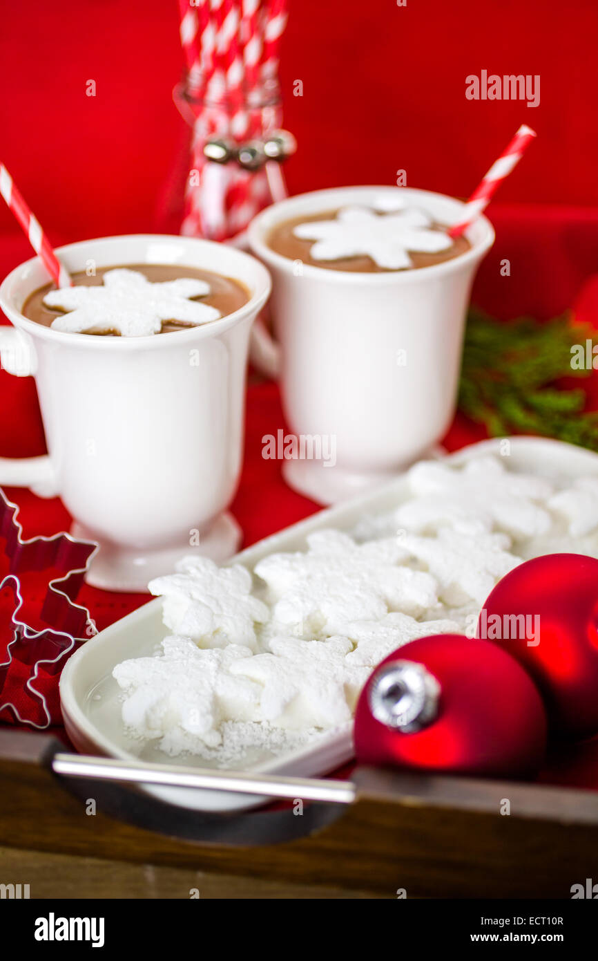 Homemade hot chocolate garnished with snowflake shaped white ...