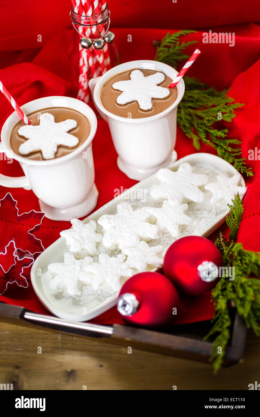 Homemade hot chocolate garnished with snowflake shaped white ...