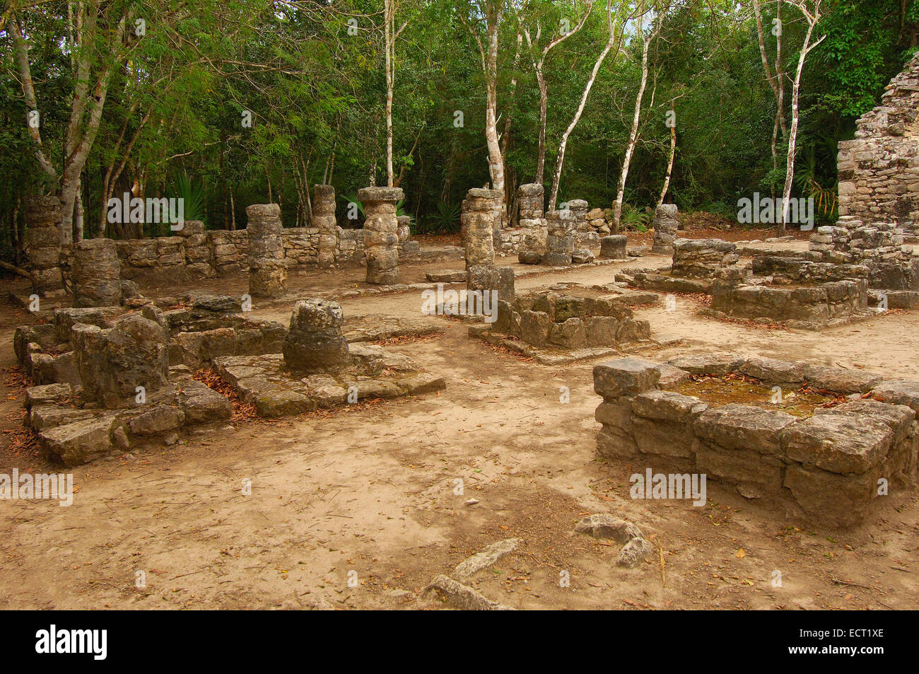 Mayan ruins of Coba, Quintana Roo state, Mayan Riviera, Yucatan ...