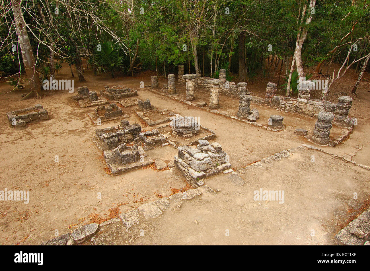 Mayan ruins of Coba, Quintana Roo state, Mayan Riviera, Yucatan ...