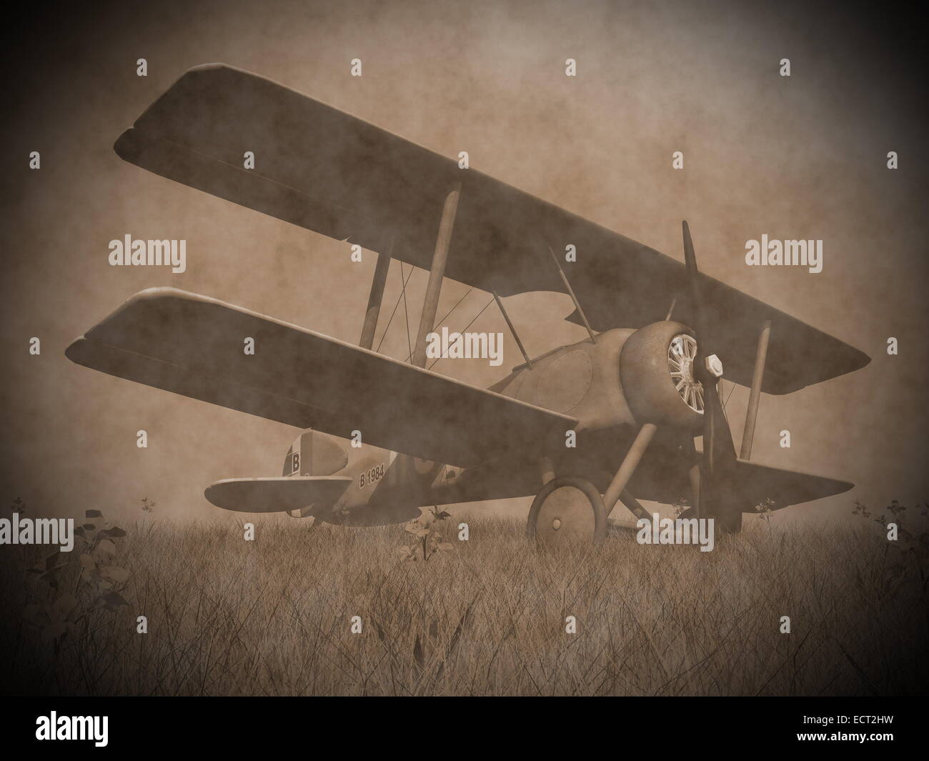 Vintage image of a biplane standing on the grass with flowers Stock ...