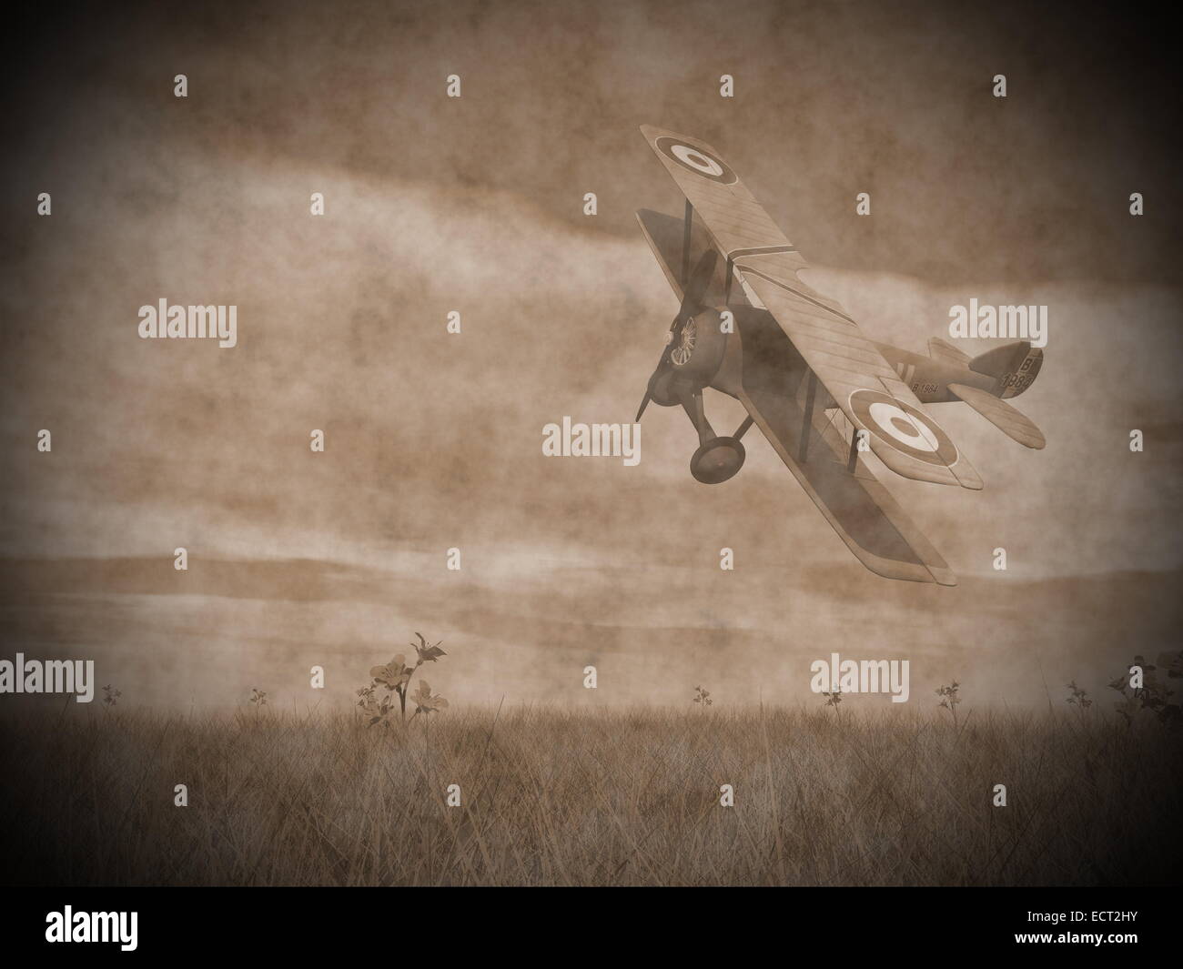 Vintage image of a biplane flying upon the grass with flowers Stock ...