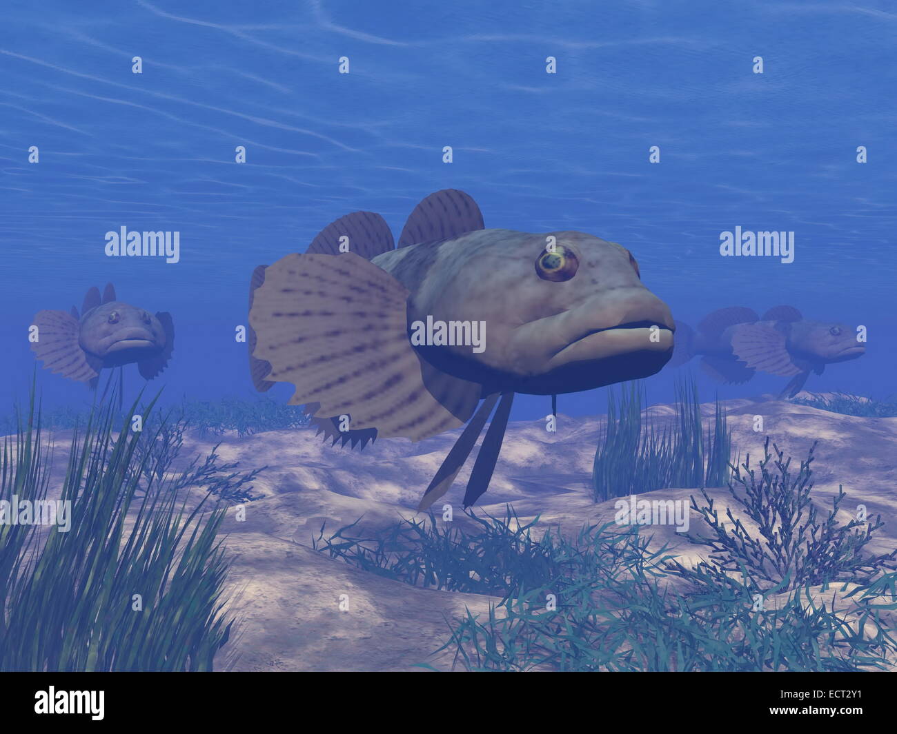 Three brown fishes in deep blue underwater Stock Photo - Alamy