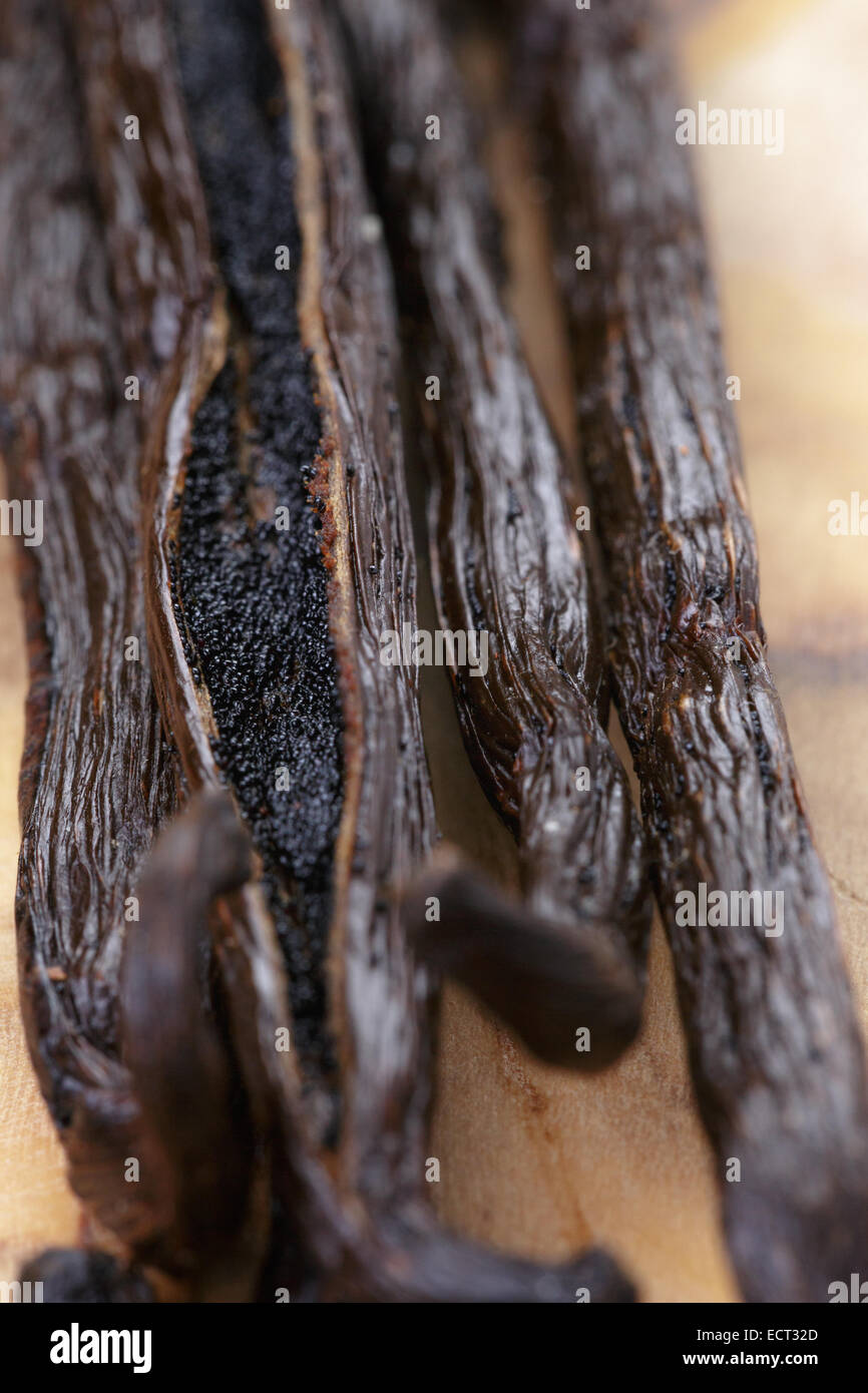 Vanilla flower and pod hi-res stock photography and images - Alamy