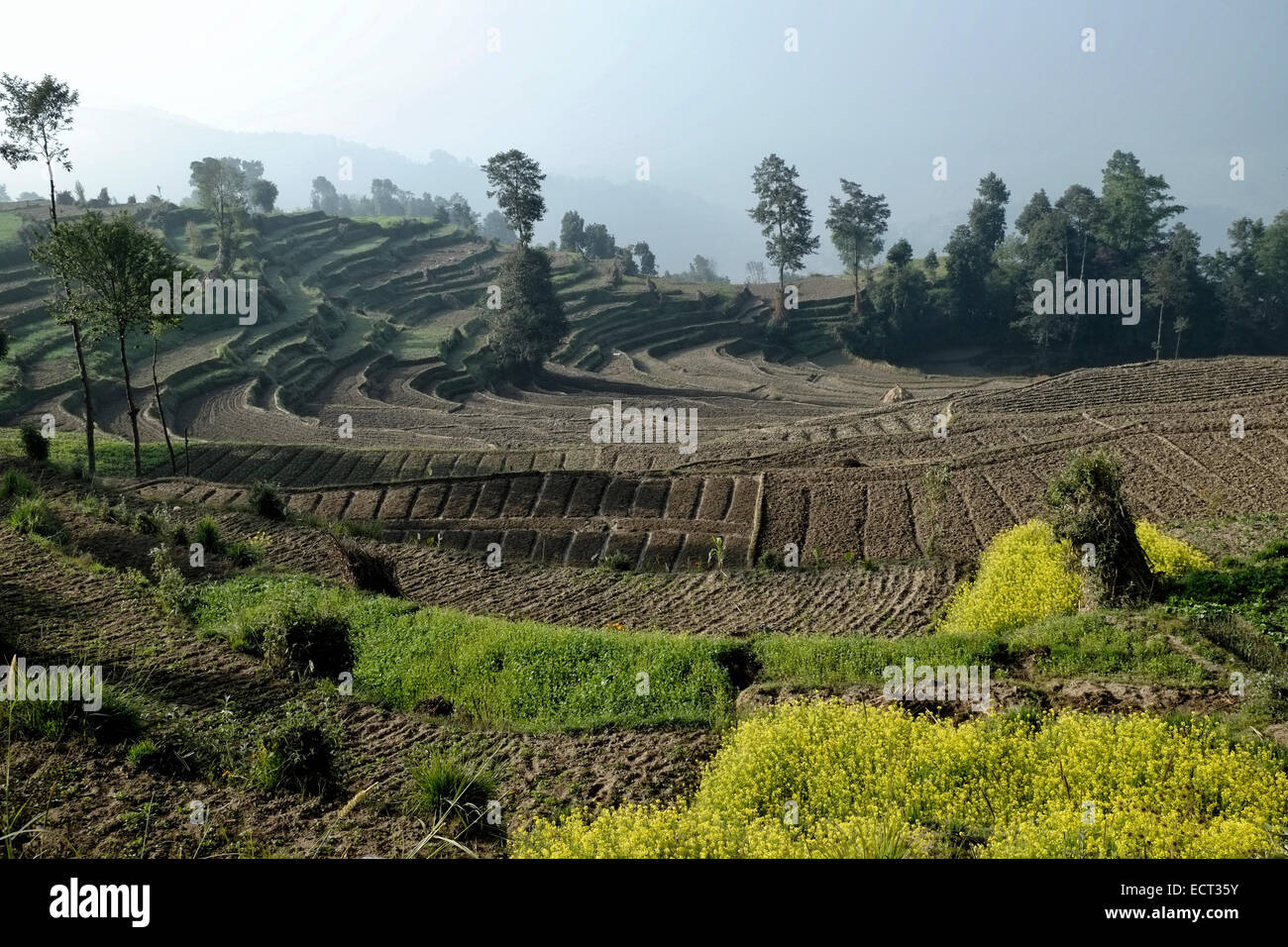 Rural scenery in Ratnagiri mountain Nagarkot in Nepal Stock Photo - Alamy