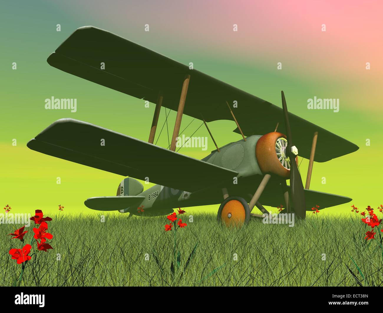 Vintage biplane standing on the green grass with flowers by sunset ...