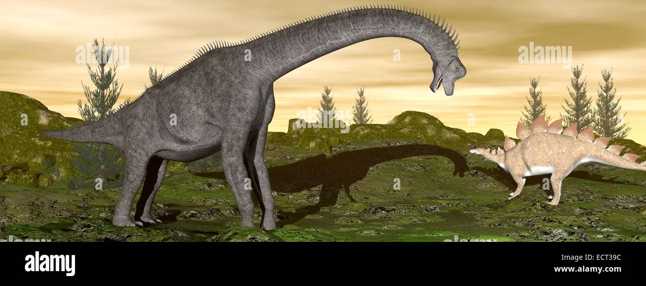 One brachiosaurus facing stegosaurus dinosaur in nature with fir trees ...
