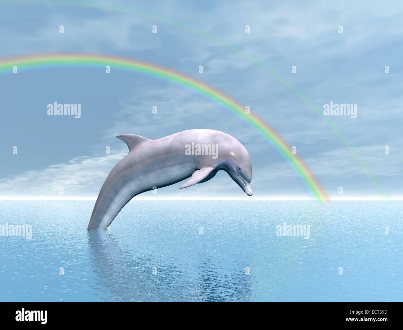 Rainbow Dolphin
