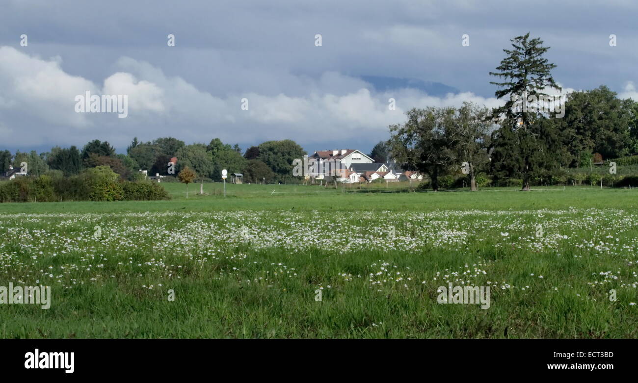 Geneva and countryside hi-res stock photography and images - Alamy