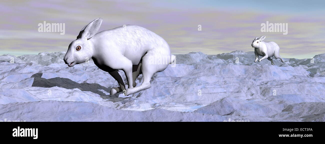 Rabbit eye night hi-res stock photography and images - Alamy