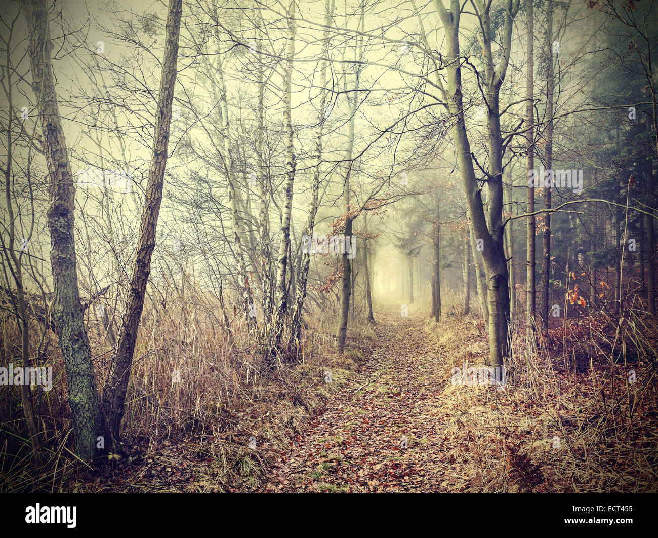 Mysterious background hi-res stock photography and images - Alamy