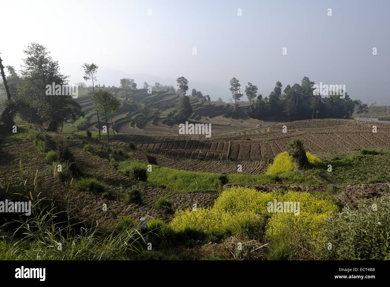 Rural scenery in Ratnagiri mountain Nagarkot Nepal Stock Photo - Alamy
