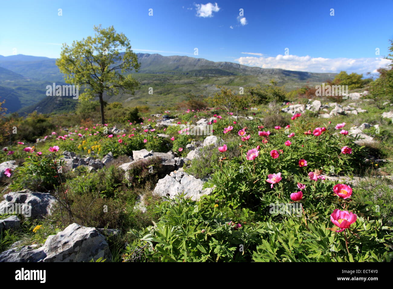 The Loup valley and the Prealpes d'Azur regional park in the back ...