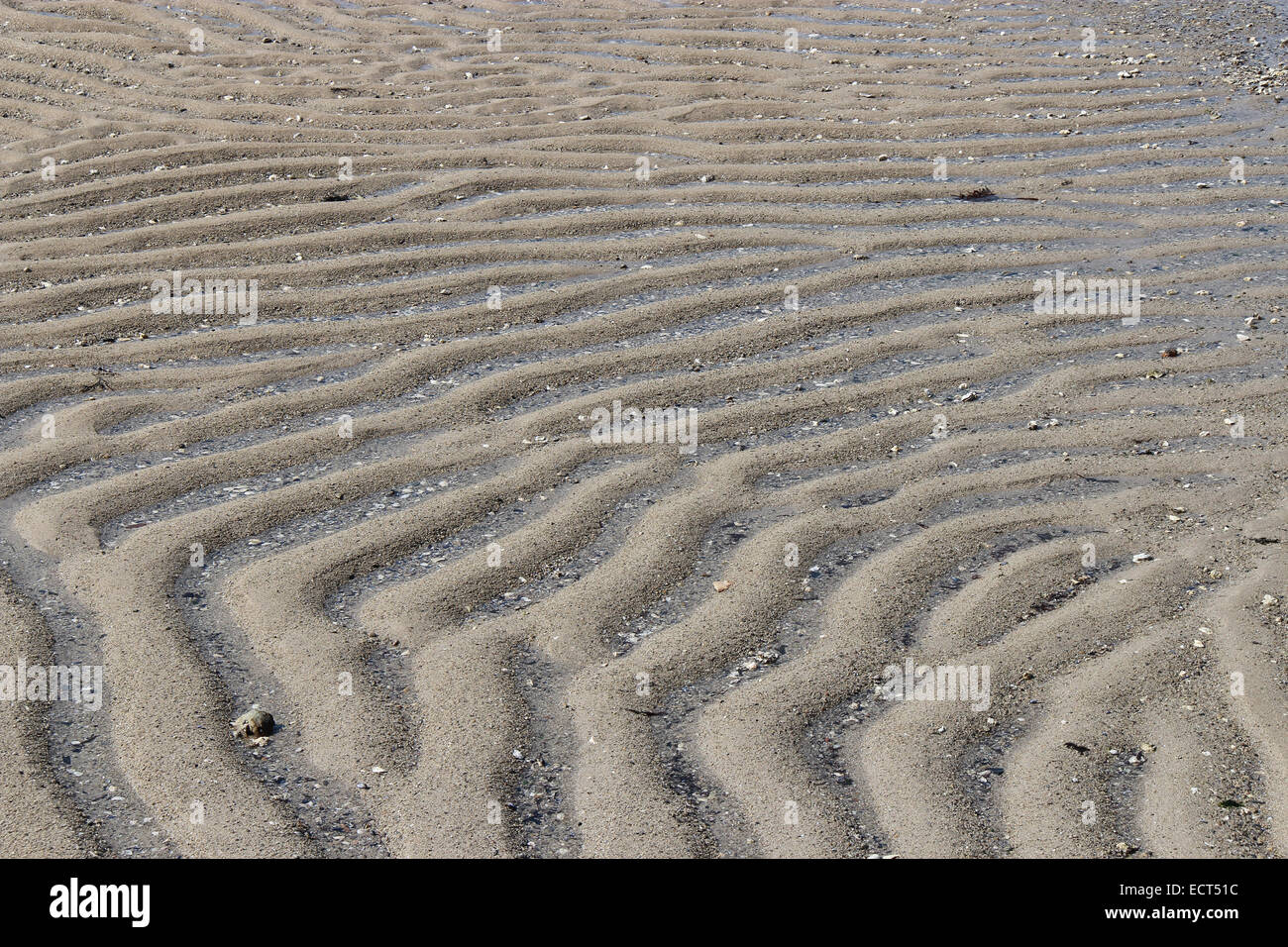 Furrows were drawn on the sand of the beach of Piriac-sur-Mer (France ...
