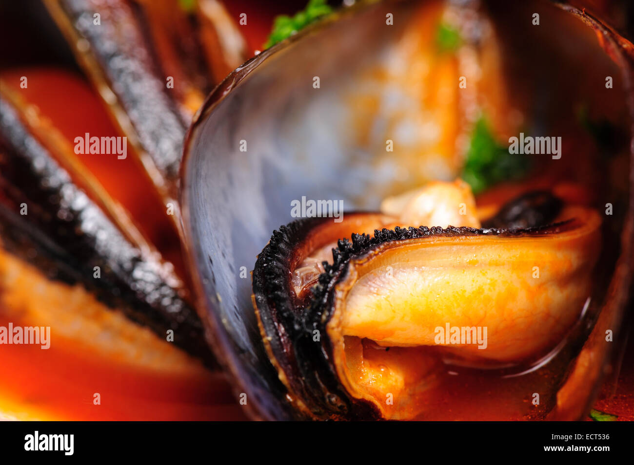 Mussels in italian rustic style Stock Photo - Alamy