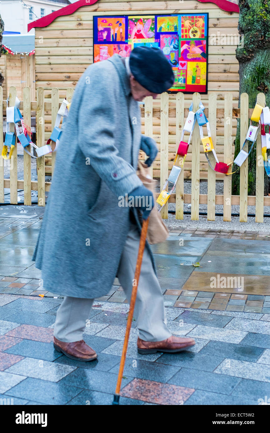 Old Man Walking Stick Old Man Walking Stick