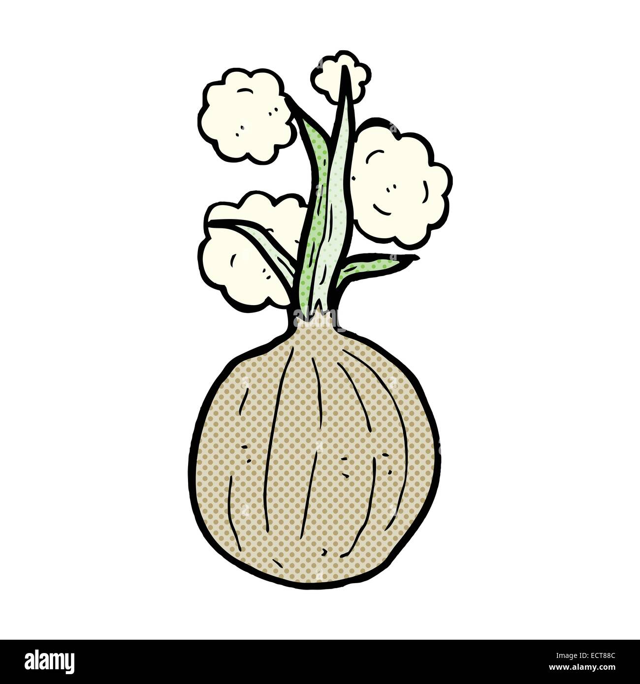 retro comic book style cartoon onion Stock Vector Image & Art - Alamy
