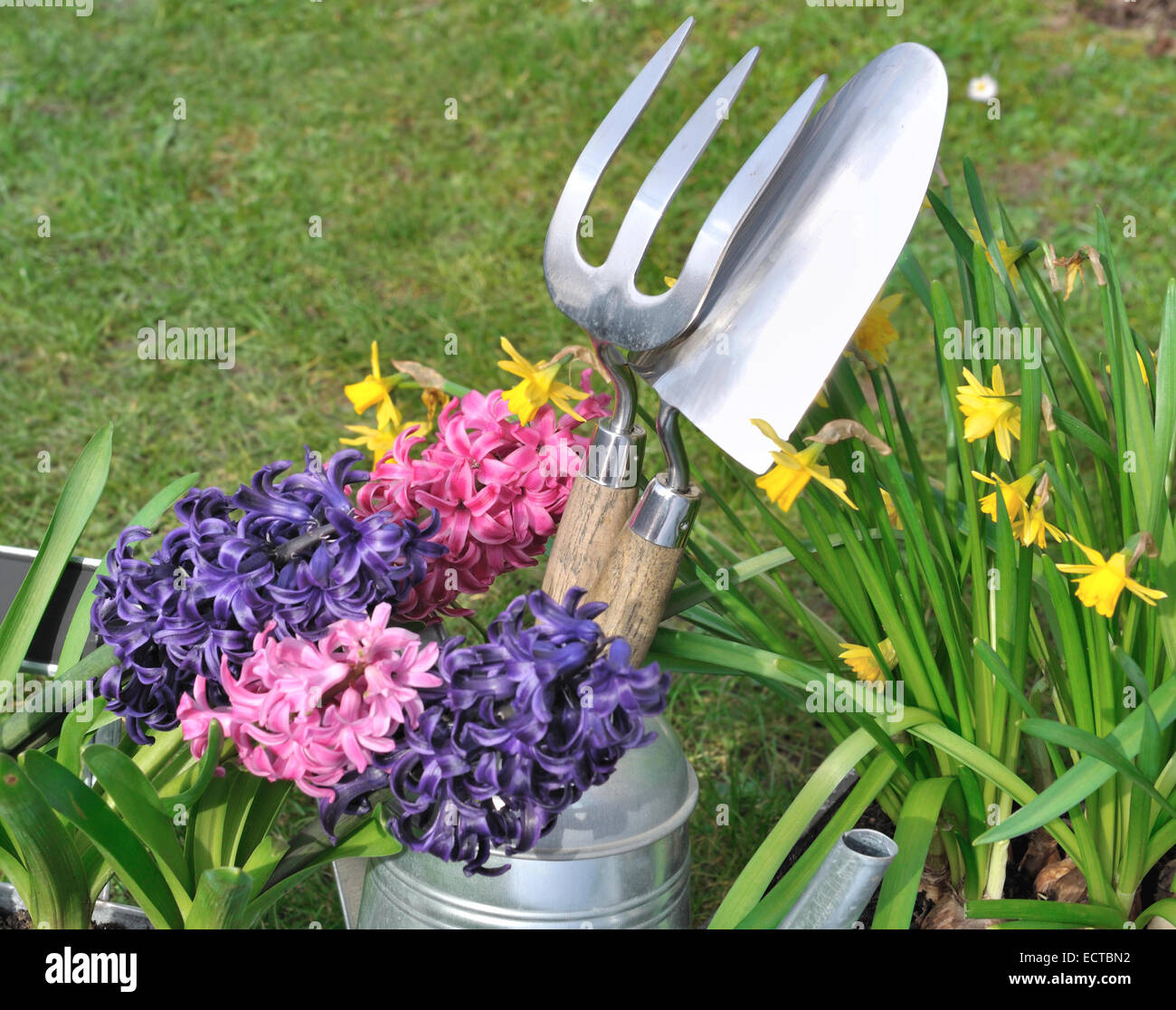 spring flowers and garden tools on grass background Stock Photo - Alamy
