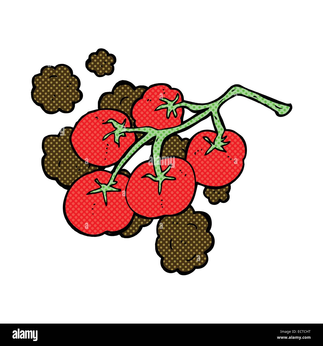 green tomatoes on vine illustration Stock Vector Image & Art - Alamy