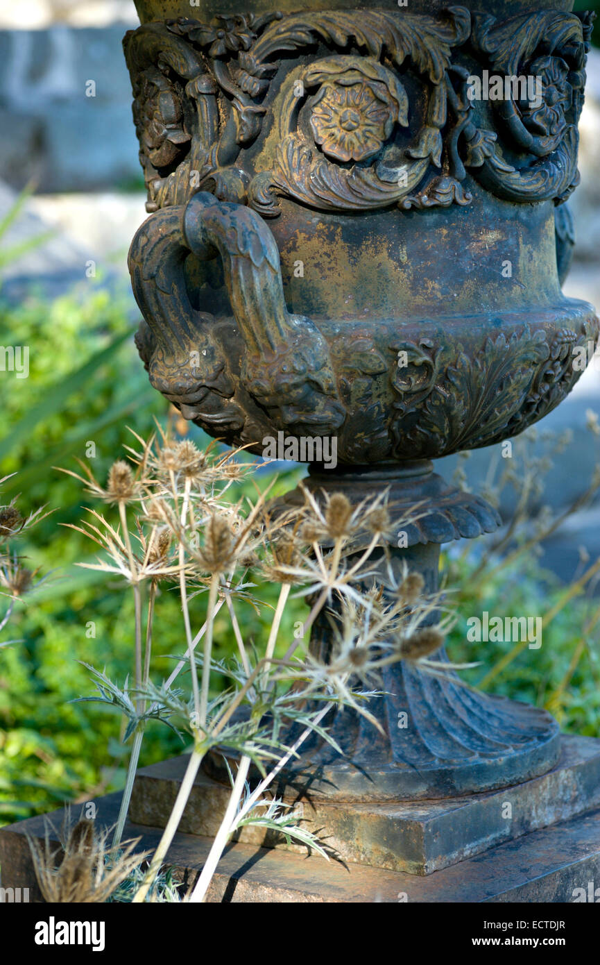 a decorative stone urn provides a backdrop to a small clump of eryngium ...