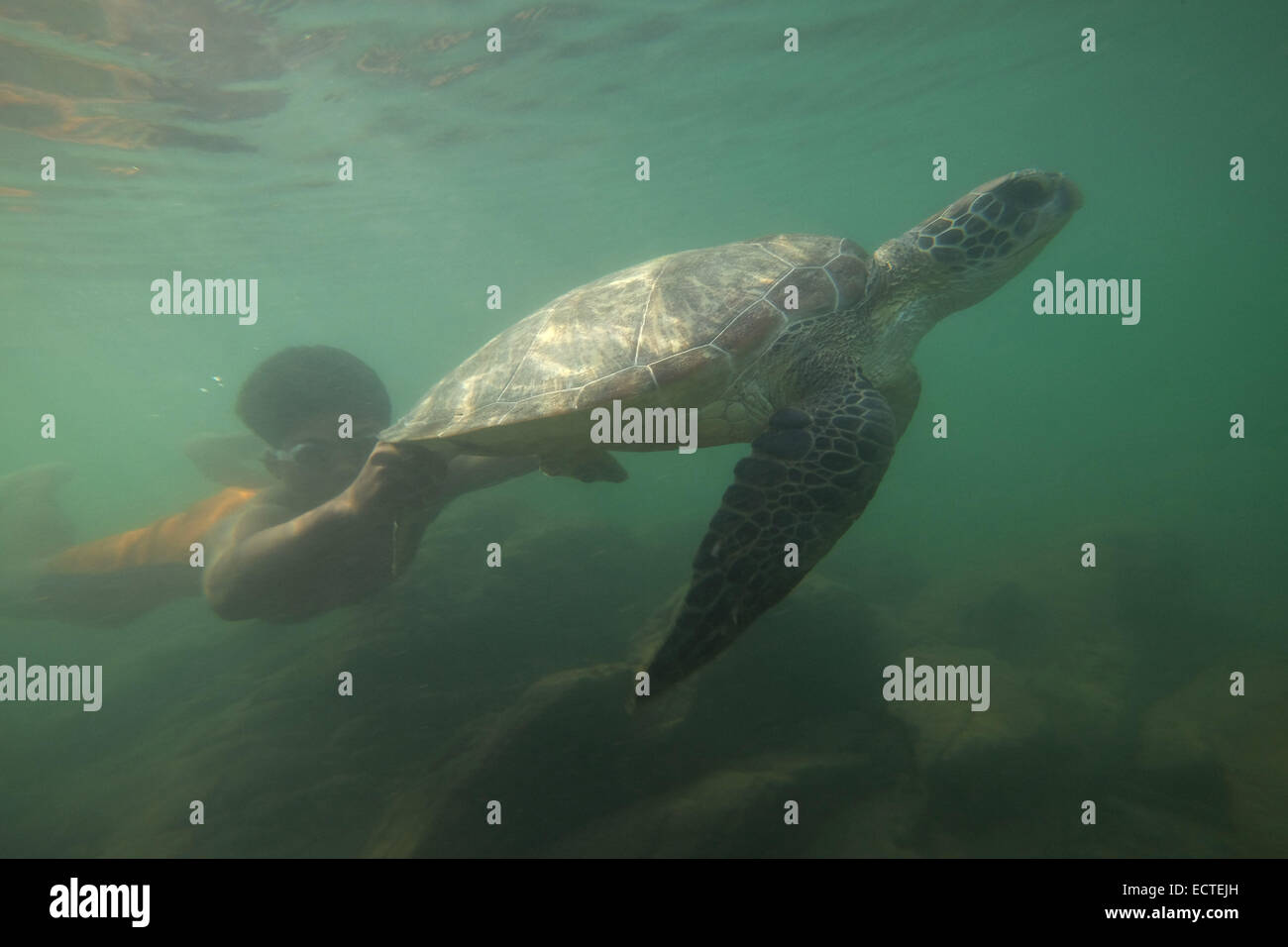 Lingga, Riau Islands, Indonesia. 17th Dec, 2014. LINGGA, INDONESIA ...