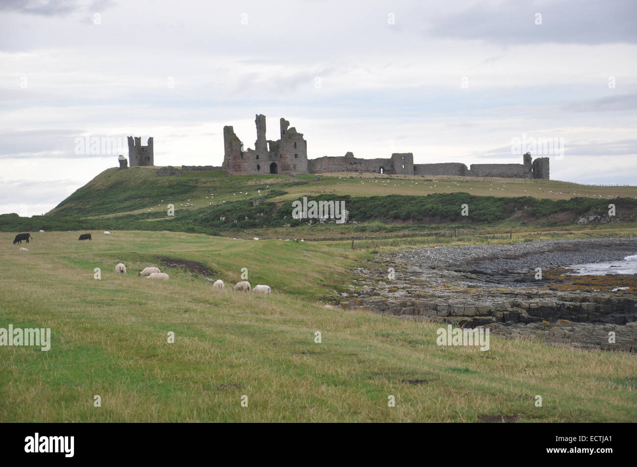 Dunstanburgh Castle, Northumberland Stock Photo - Alamy