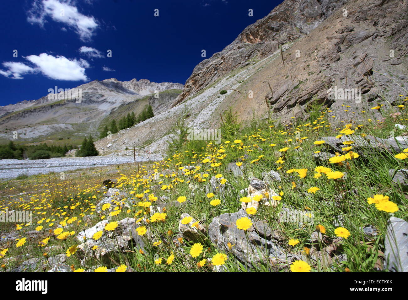 Landscape of the Valley de l'Ubaye, Alpes de Haute Provence Stock Photo ...