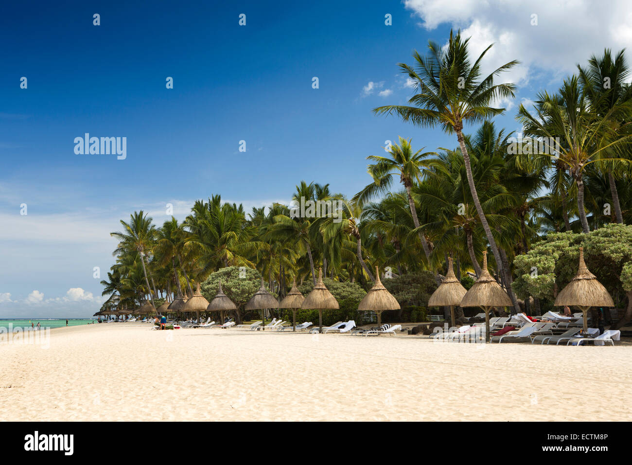 Mauritius tropics tropical island hi-res stock photography and images ...
