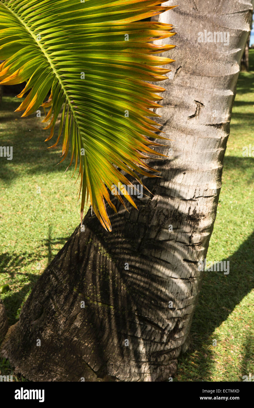 Mauritius, Flic en Flac, La Pirogue Hotel, garden, shadow of palm leaf ...