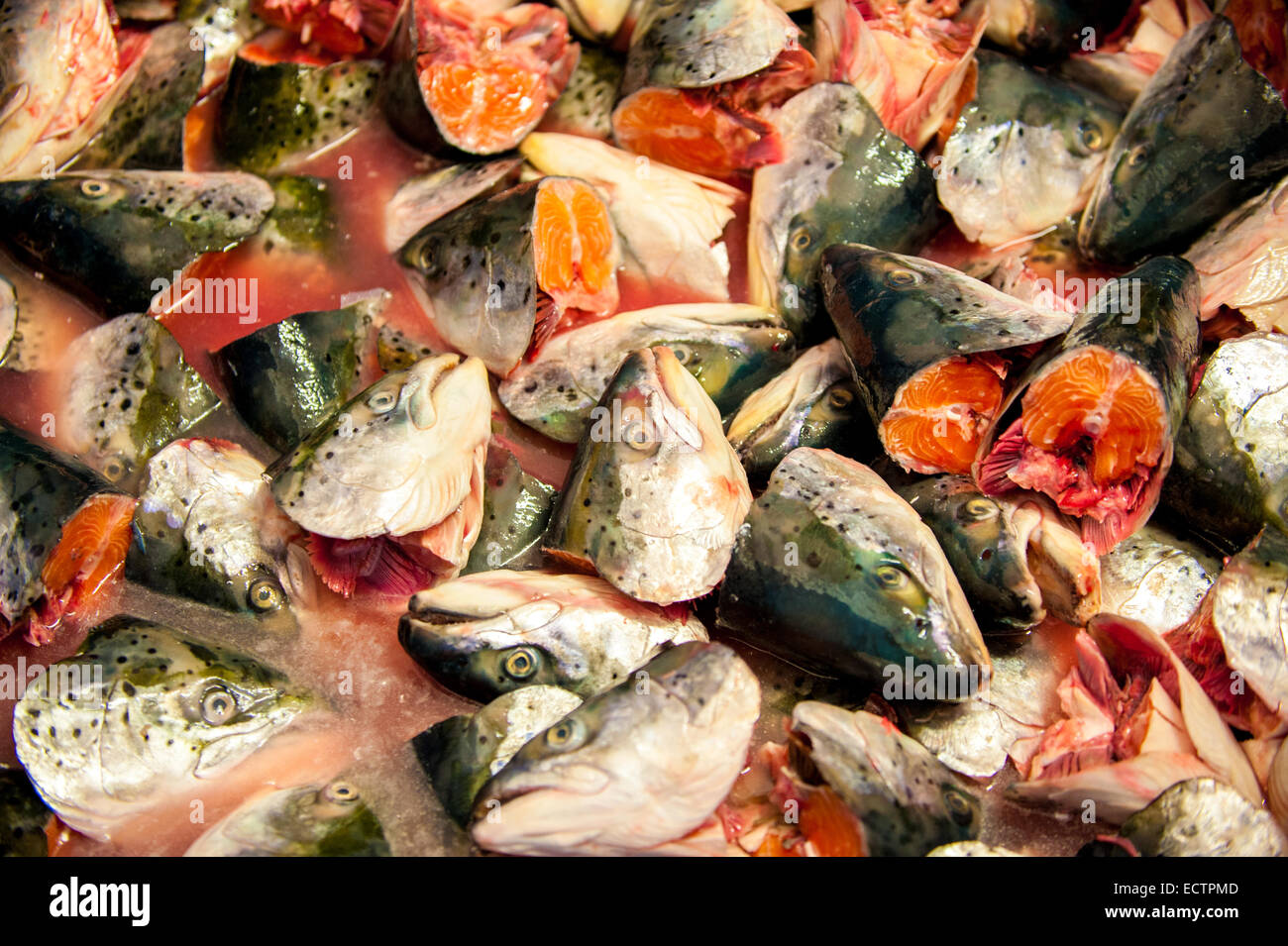 Scottish fish hi-res stock photography and images - Alamy