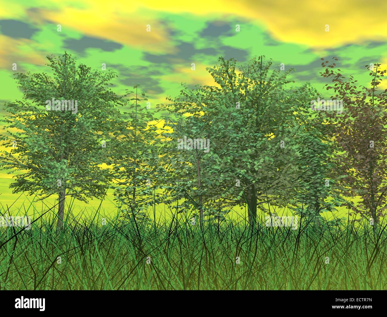 Green grass and trees with colorful clouds Stock Photo - Alamy