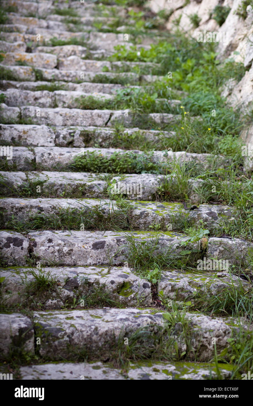 Overgrown old stone steps hi-res stock photography and images - Alamy