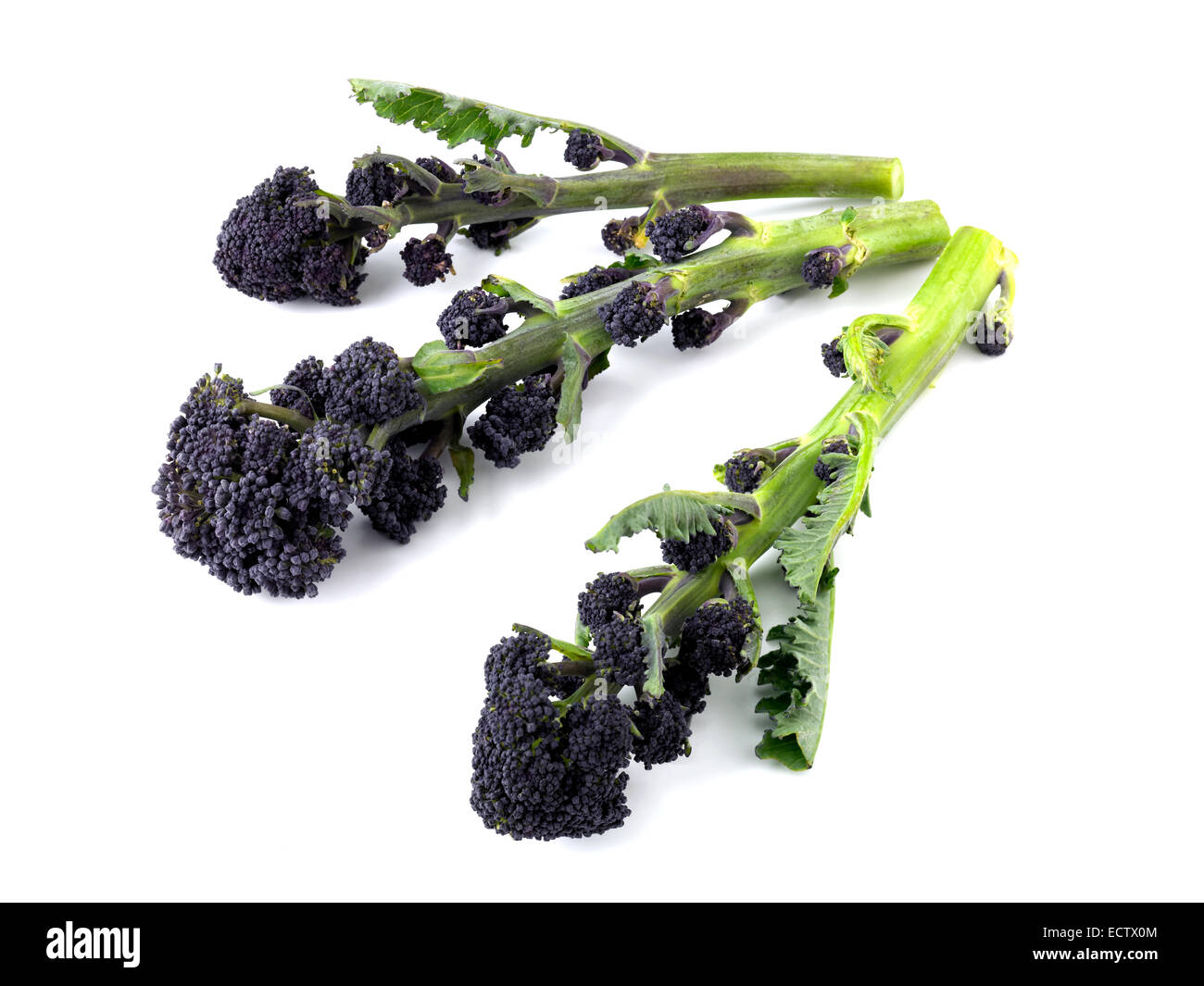 Broccoli spears hi-res stock photography and images - Alamy