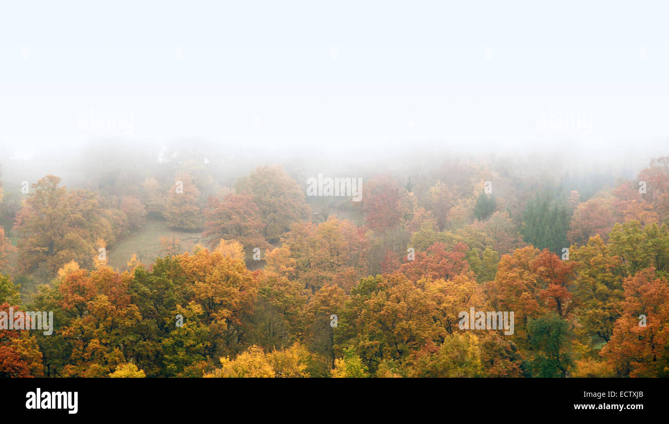 foggy autumn scenery including a colorful forest in Southern Germany ...