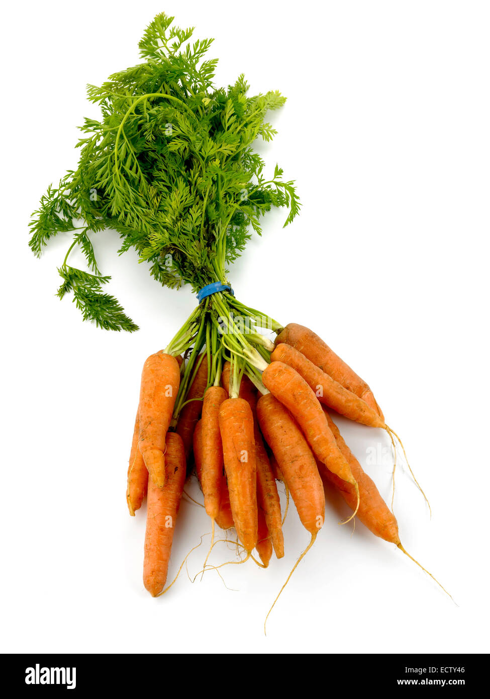 Whole fresh raw carrots Cut Out Stock Images & Pictures - Alamy
