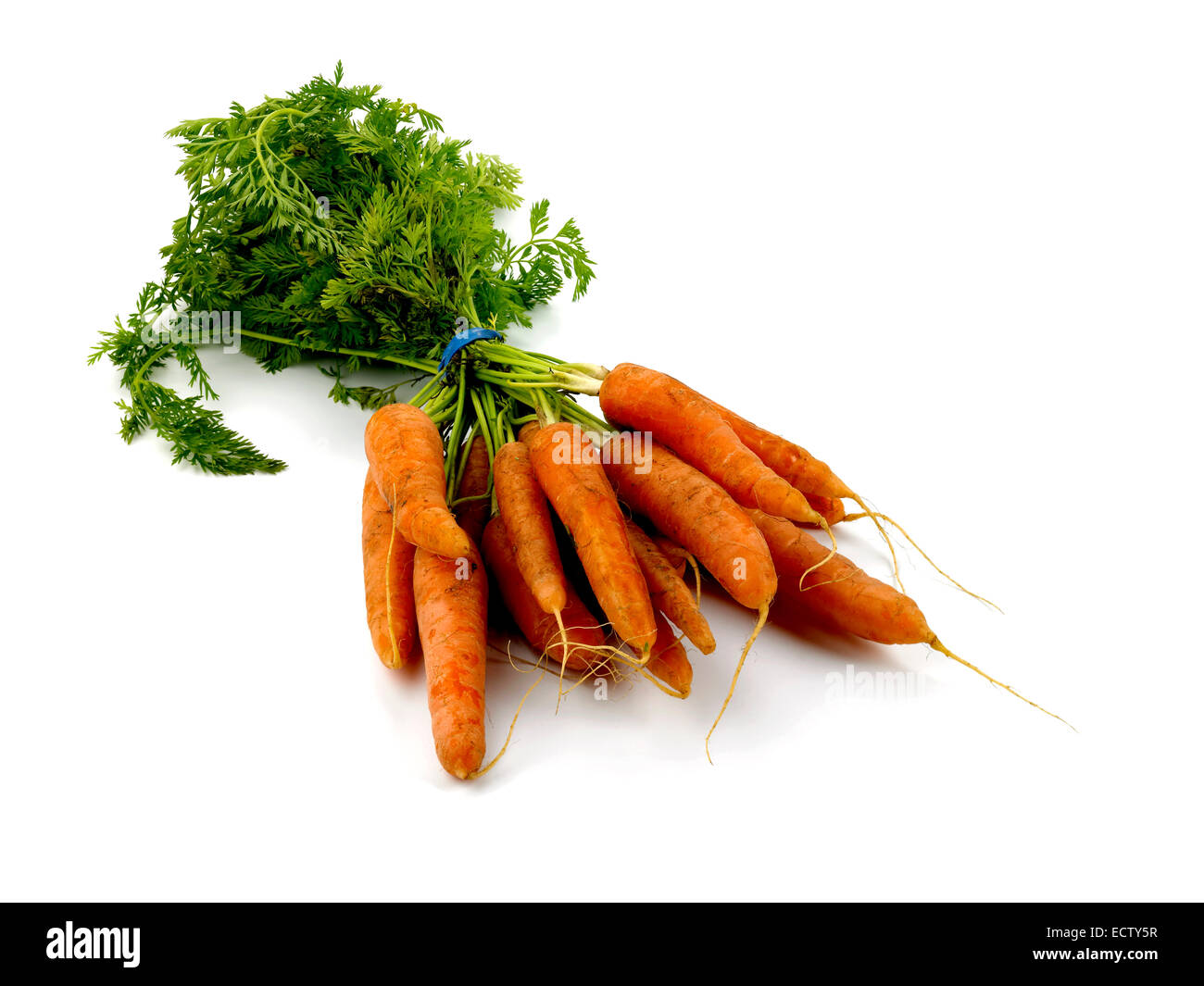 Carrot pulled out hi-res stock photography and images - Alamy