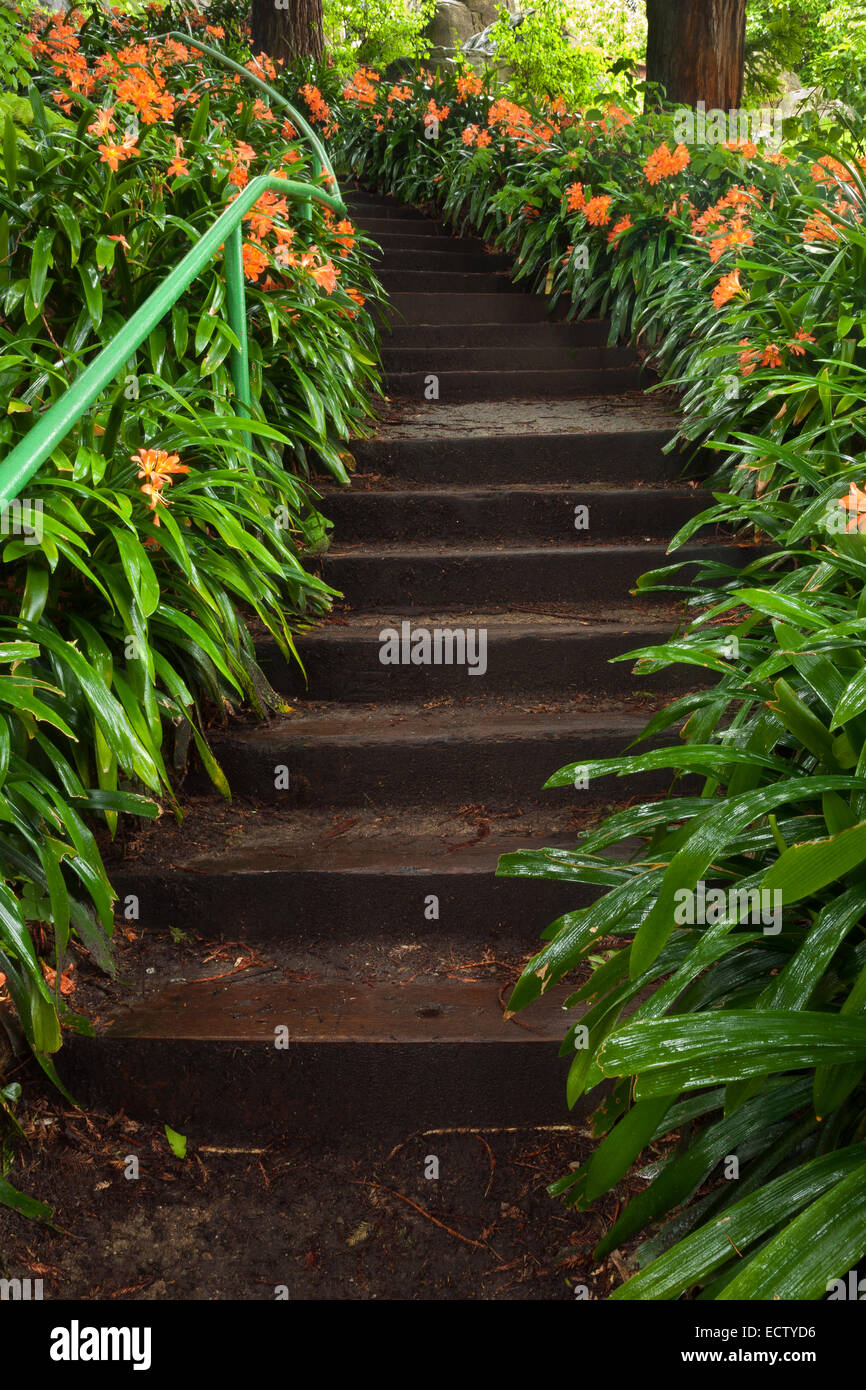 Lined stairs hi-res stock photography and images - Alamy