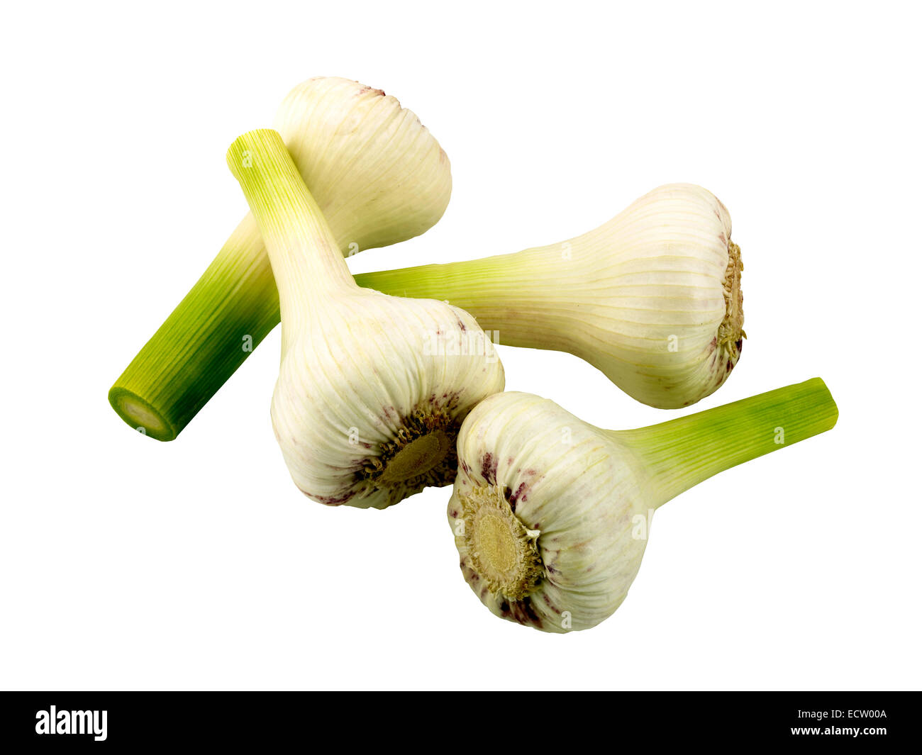 Fresh raw green whole Cut Out Stock Images & Pictures - Alamy