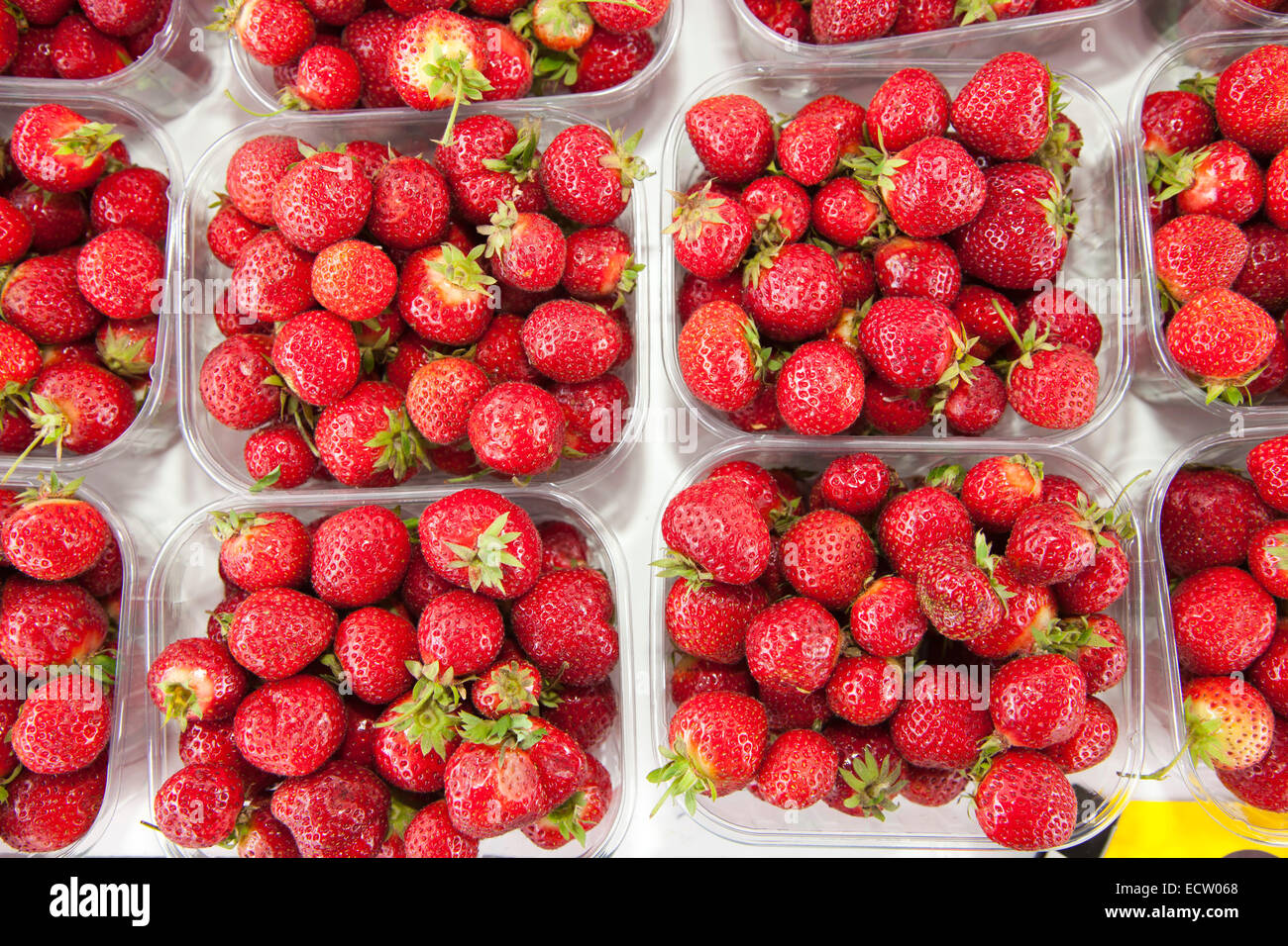 Traditional variety strawberries hi-res stock photography and images ...