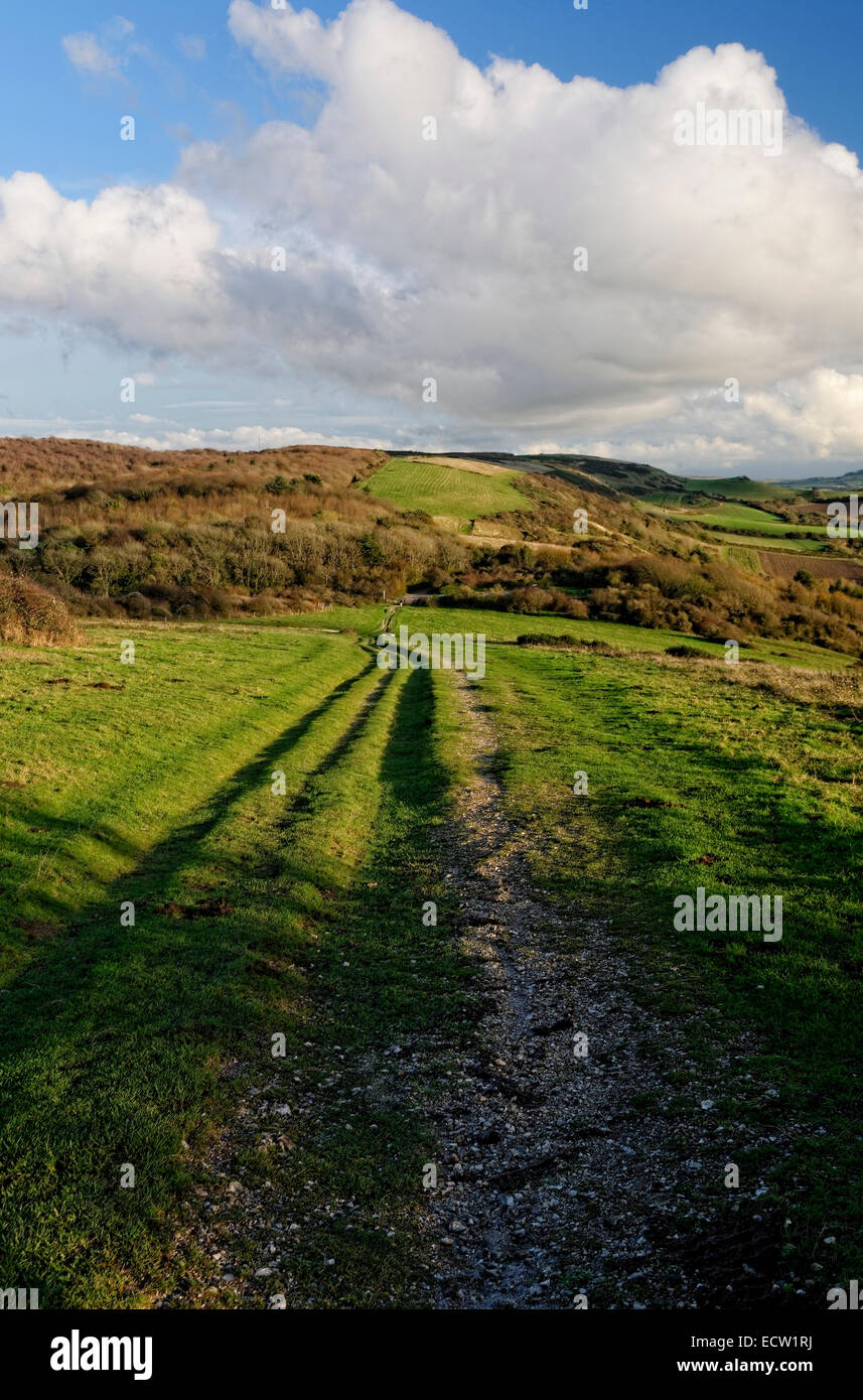 A clear country path leading Eastwards from Mottistone Down, Isle of ...