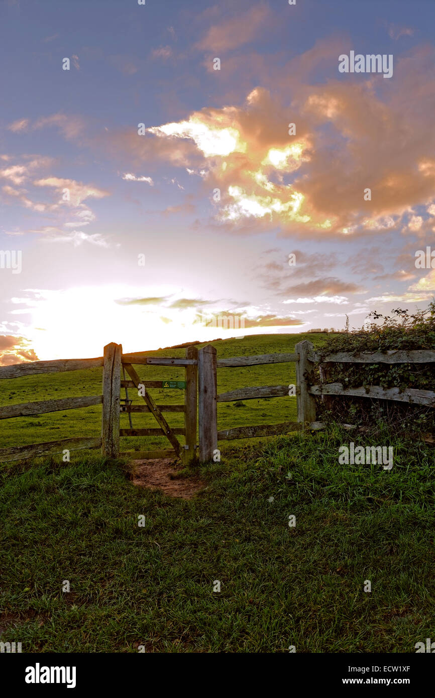 Mottistone down hi-res stock photography and images - Alamy