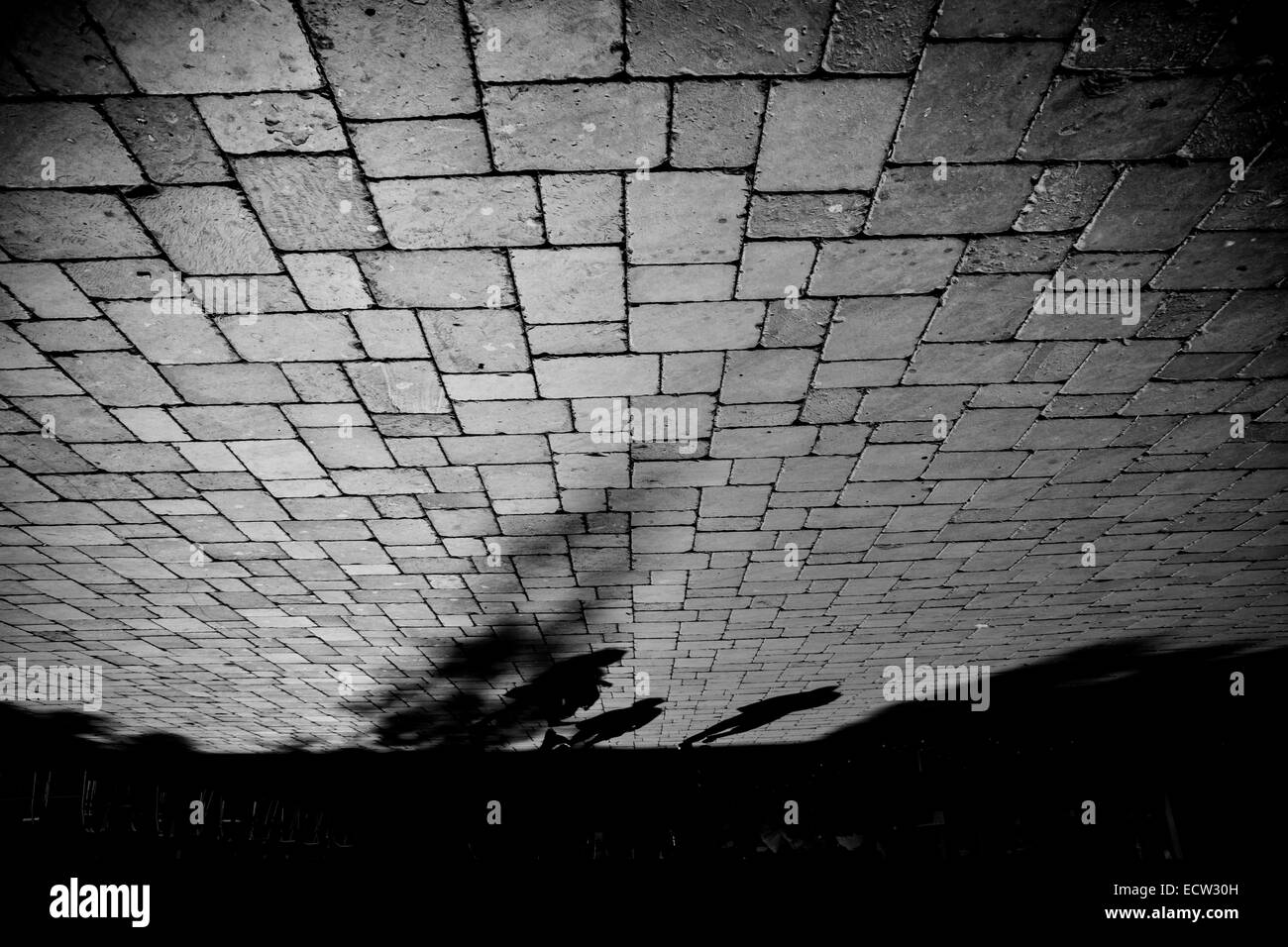 A monochromatic image of the shadow of a person on a stone paved plaza ...