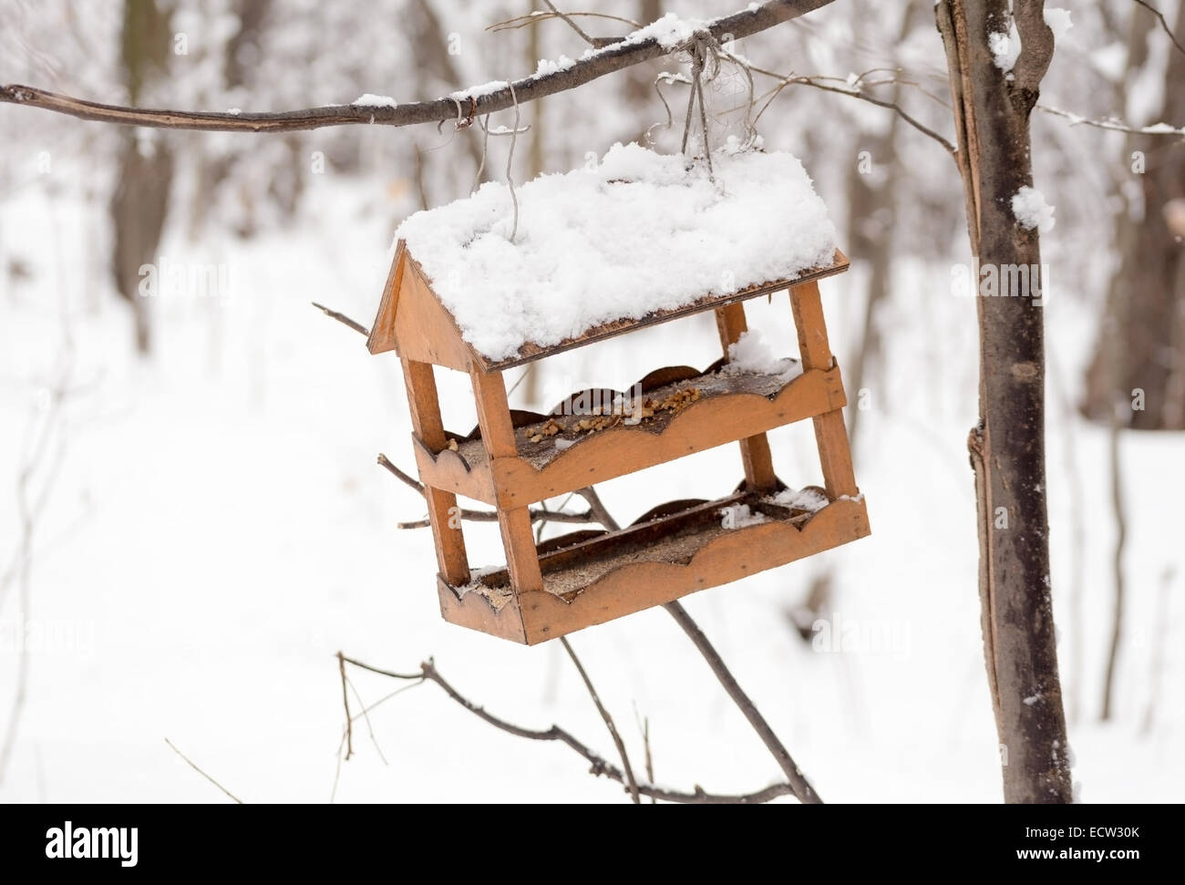 Bird feeders tree hi-res stock photography and images - Alamy