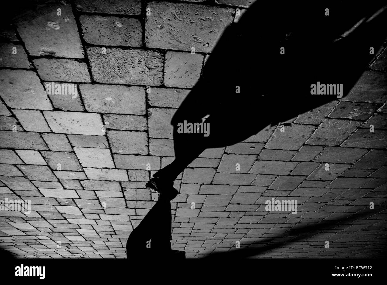 A monochromatic image of the shadow of a person on a stone paved plaza ...