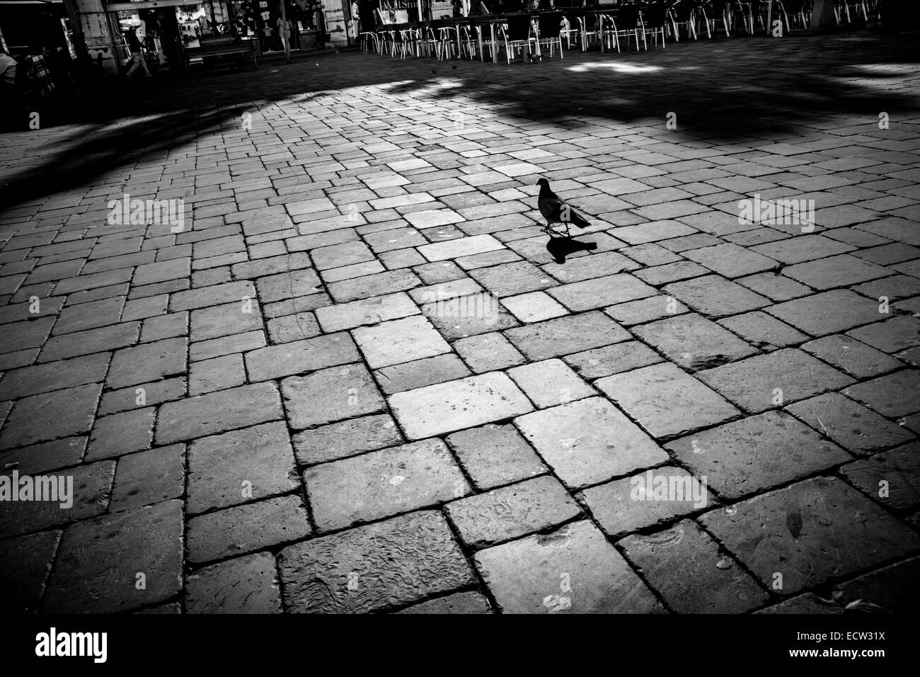 A monochromatic image of the shadow of a person on a stone paved plaza ...