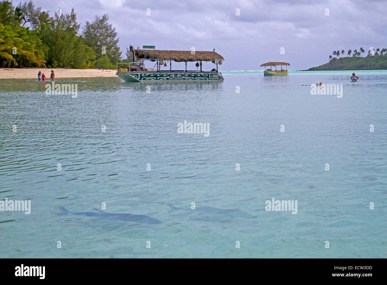 Rarotonga lagoon boat hi-res stock photography and images - Alamy