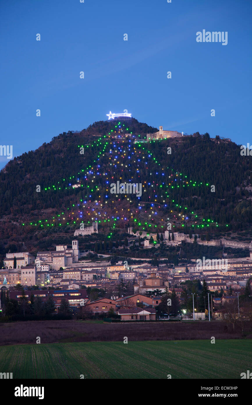 World largest tree hi-res stock photography and images - Alamy