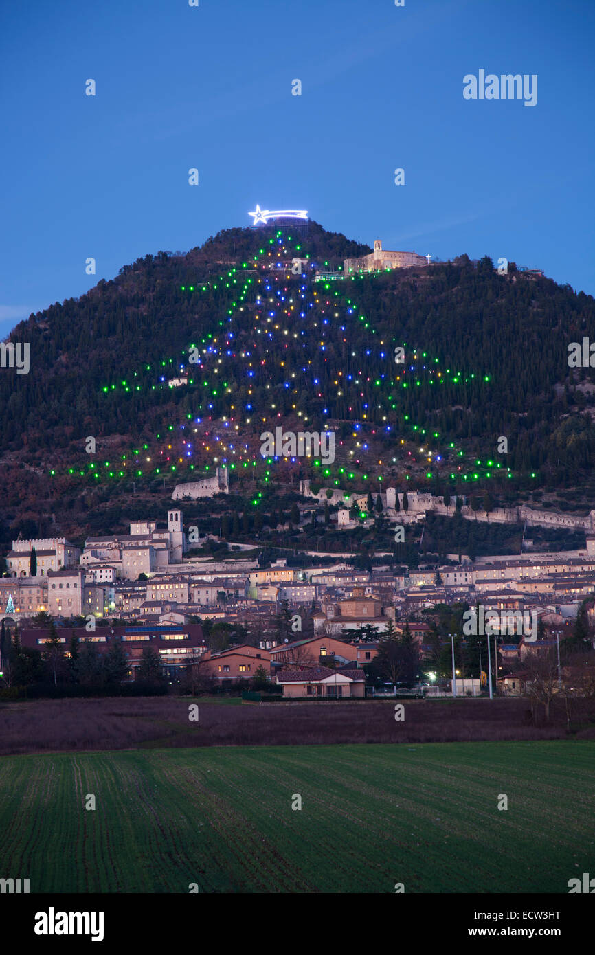 Largest tree in the world hi-res stock photography and images - Alamy